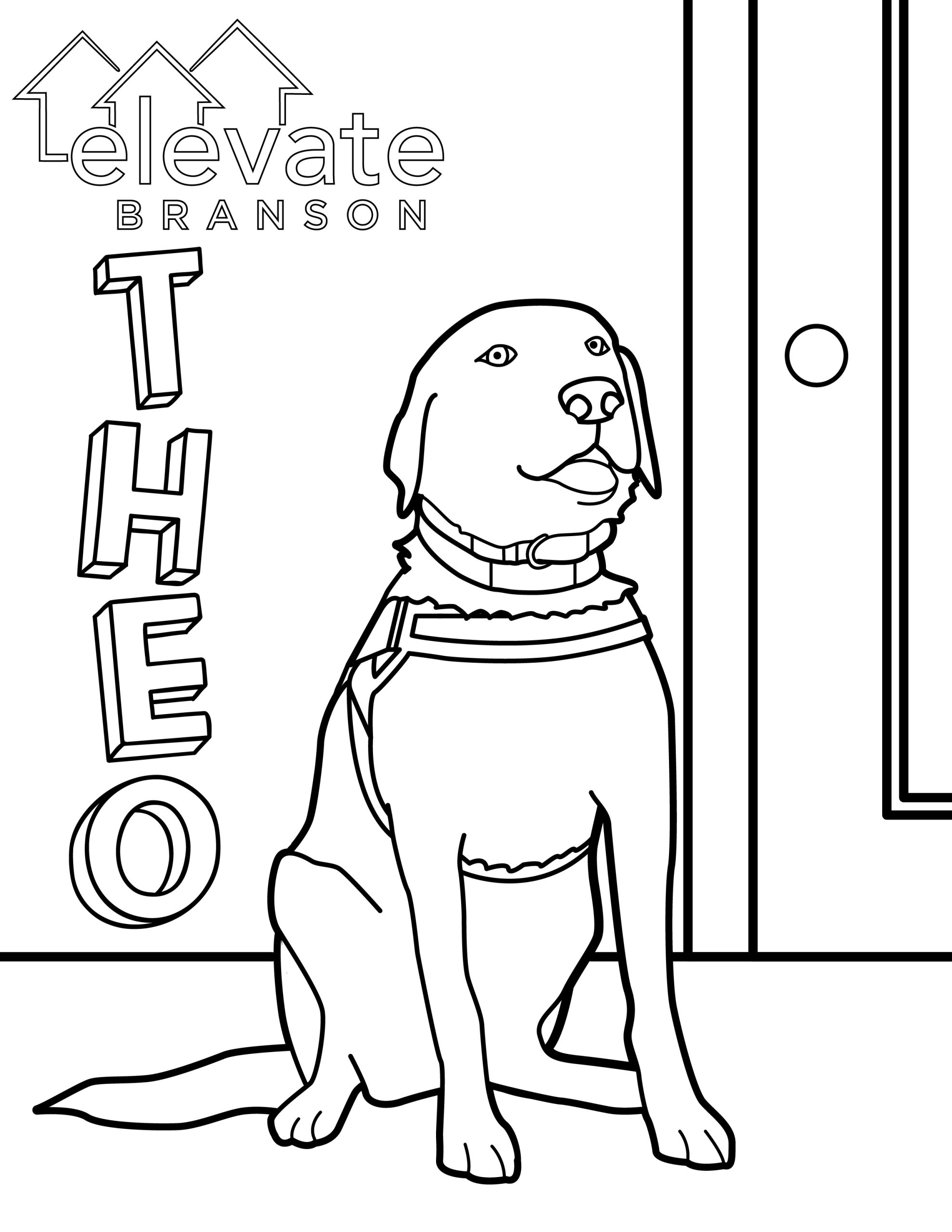 Theo - Elevate Branson